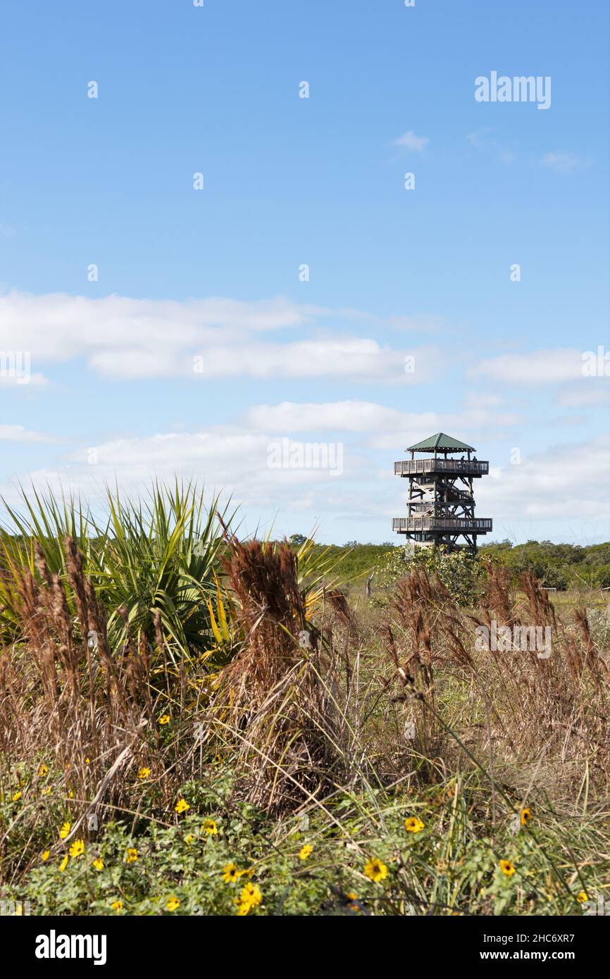 The observation tower at Robinson Preserve in Bradenton, Florida Stock ...