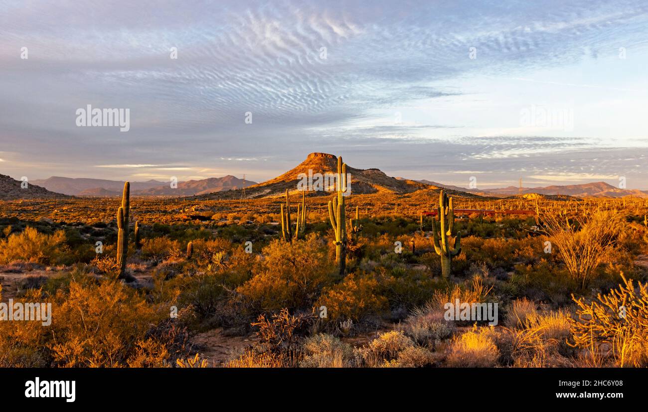 Desert Sunset Landscape At Browns Ranch In Scottsdale Arizona Stock ...