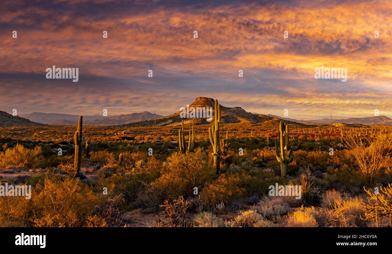 Desert Sunset Landscape In Scottsdale Arizona Stock Photo - Alamy