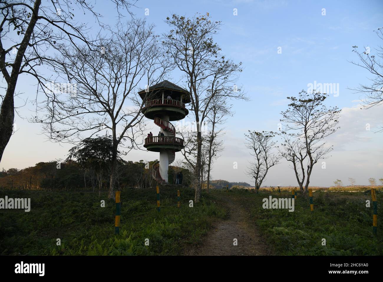 Medla watch tower of Gorumara National Park. The Dooars. Jalpaiguri ...