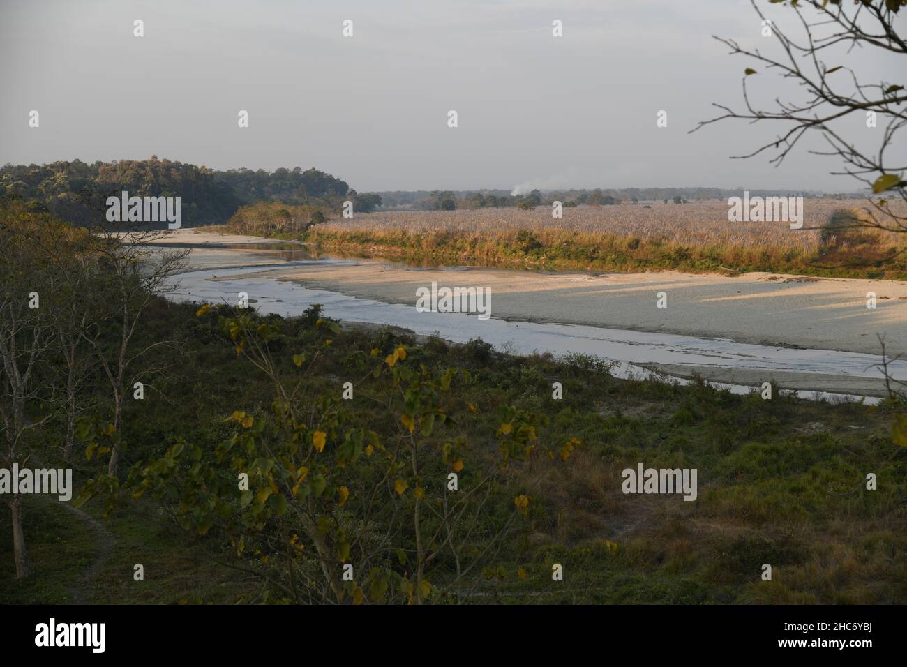 River Murti at Medla of Gorumara National Park. The Dooars. Jalpaiguri ...