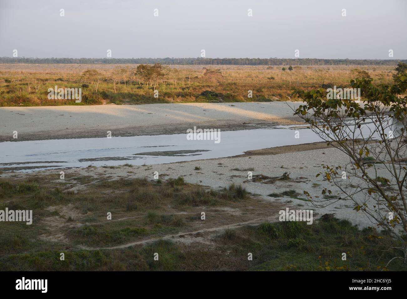 River Murti at Medla of Gorumara National Park. The Dooars. Jalpaiguri ...