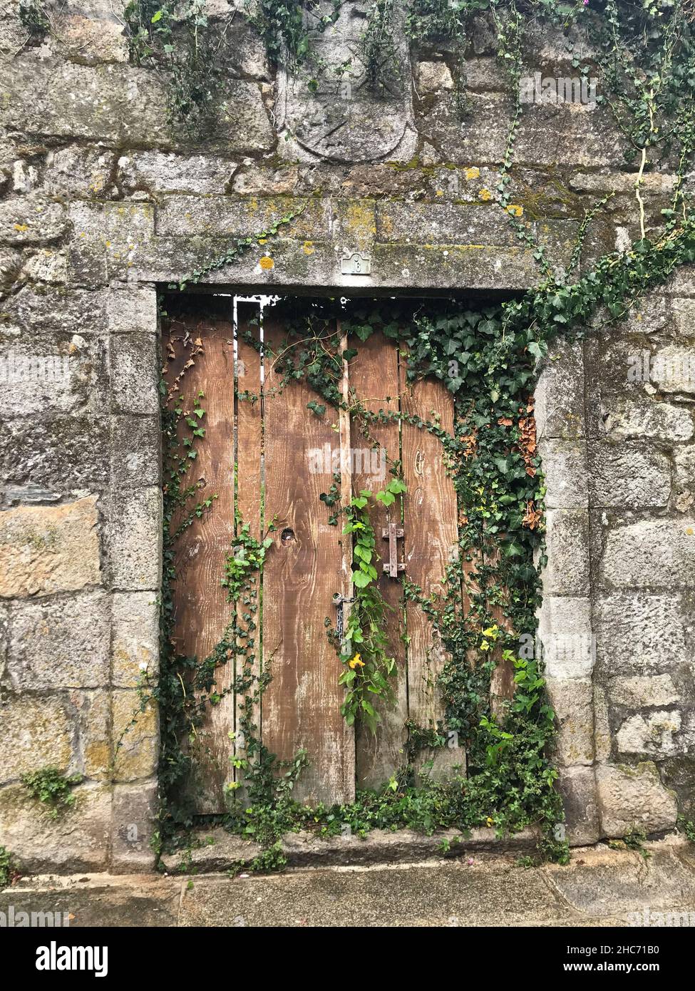 Moss door hi-res stock photography and images - Alamy