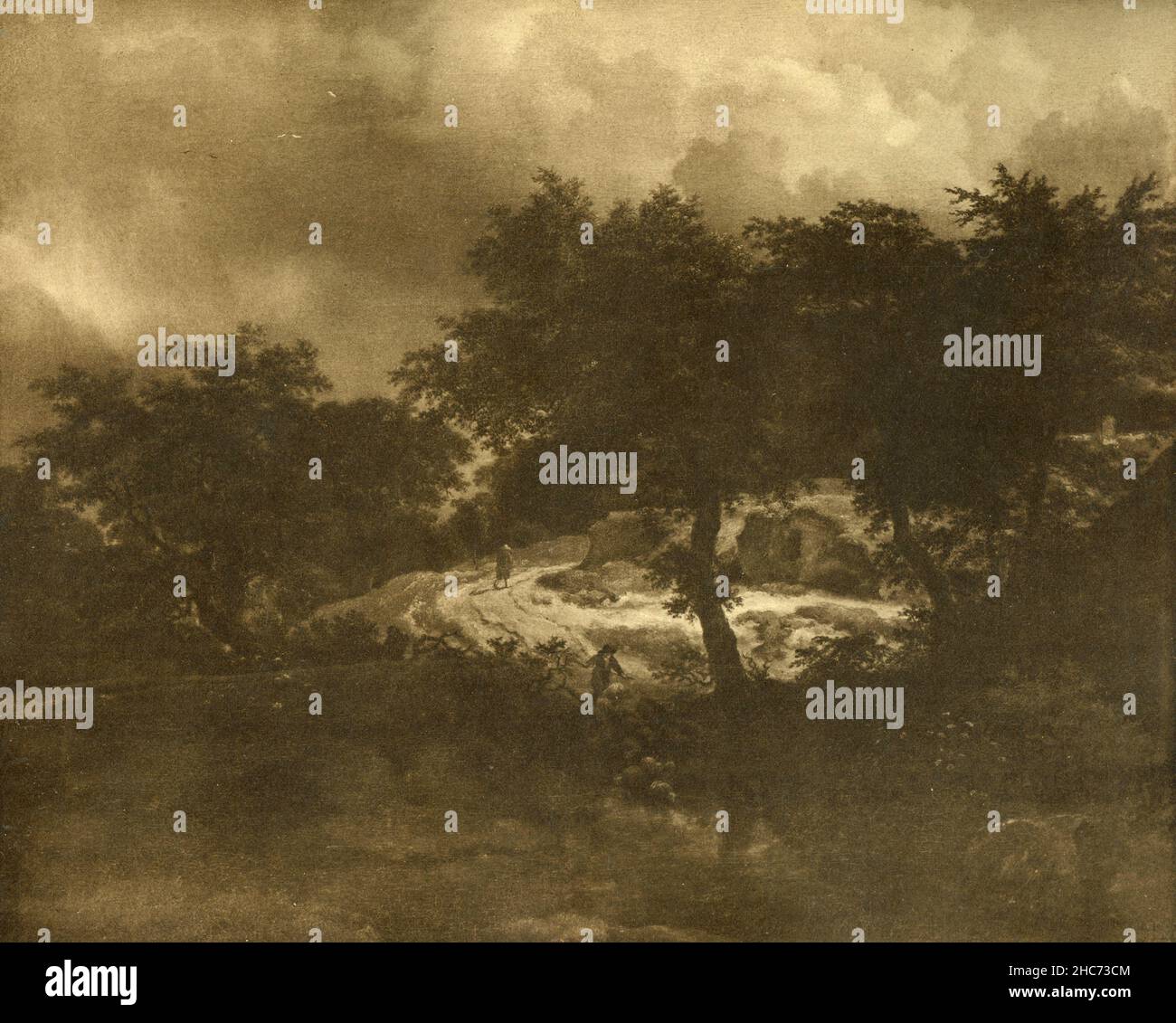 Forest Landscape, painting by Dutch artist Jacob van Ruisdael, Munich ...