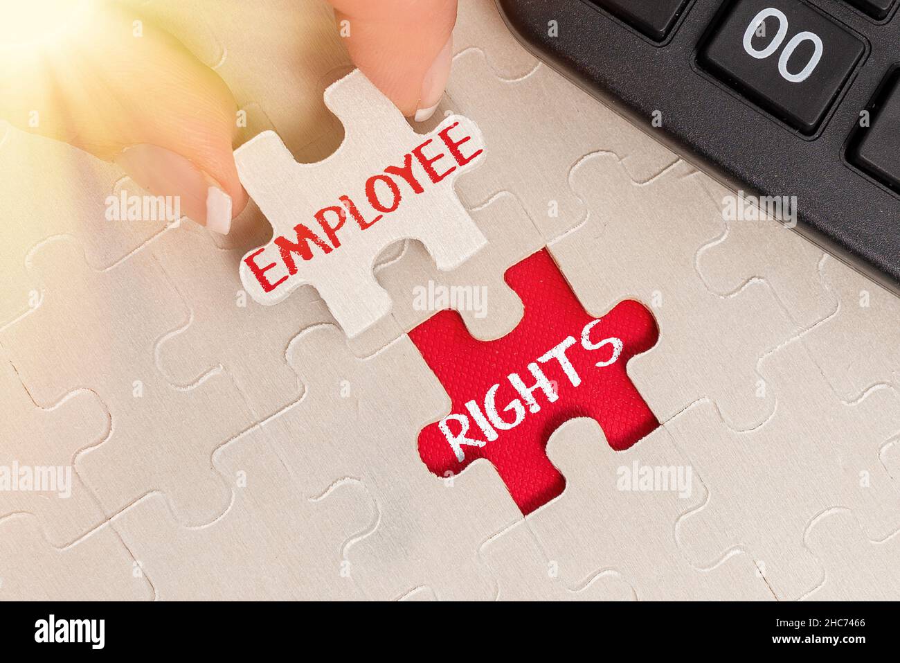 Conceptual display Employee Rights. Business concept All employees have ...