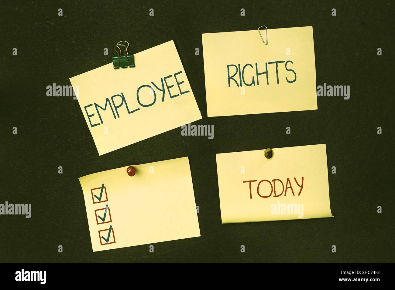 Inspiration showing sign Employee Rights. Concept meaning All employees ...