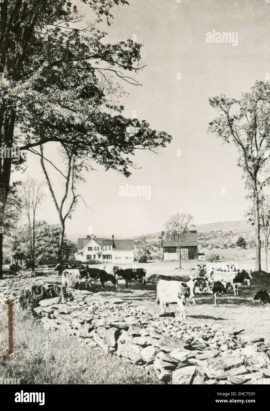 Farm 1950s hi-res stock photography and images - Alamy