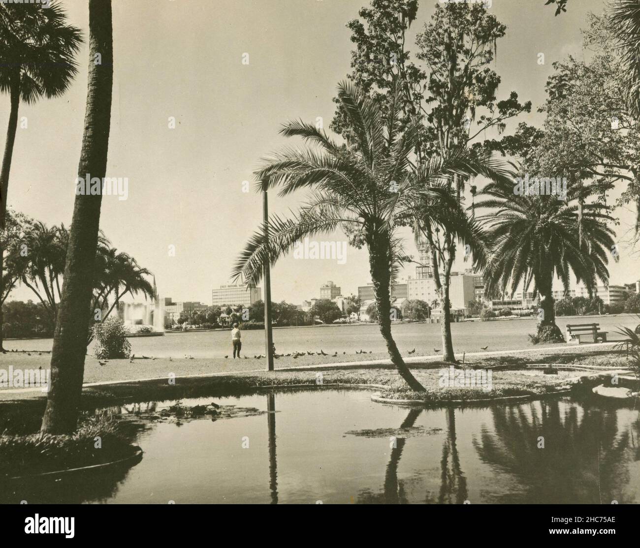A View of Orlando, Florida USA 1940s Stock Photo - Alamy