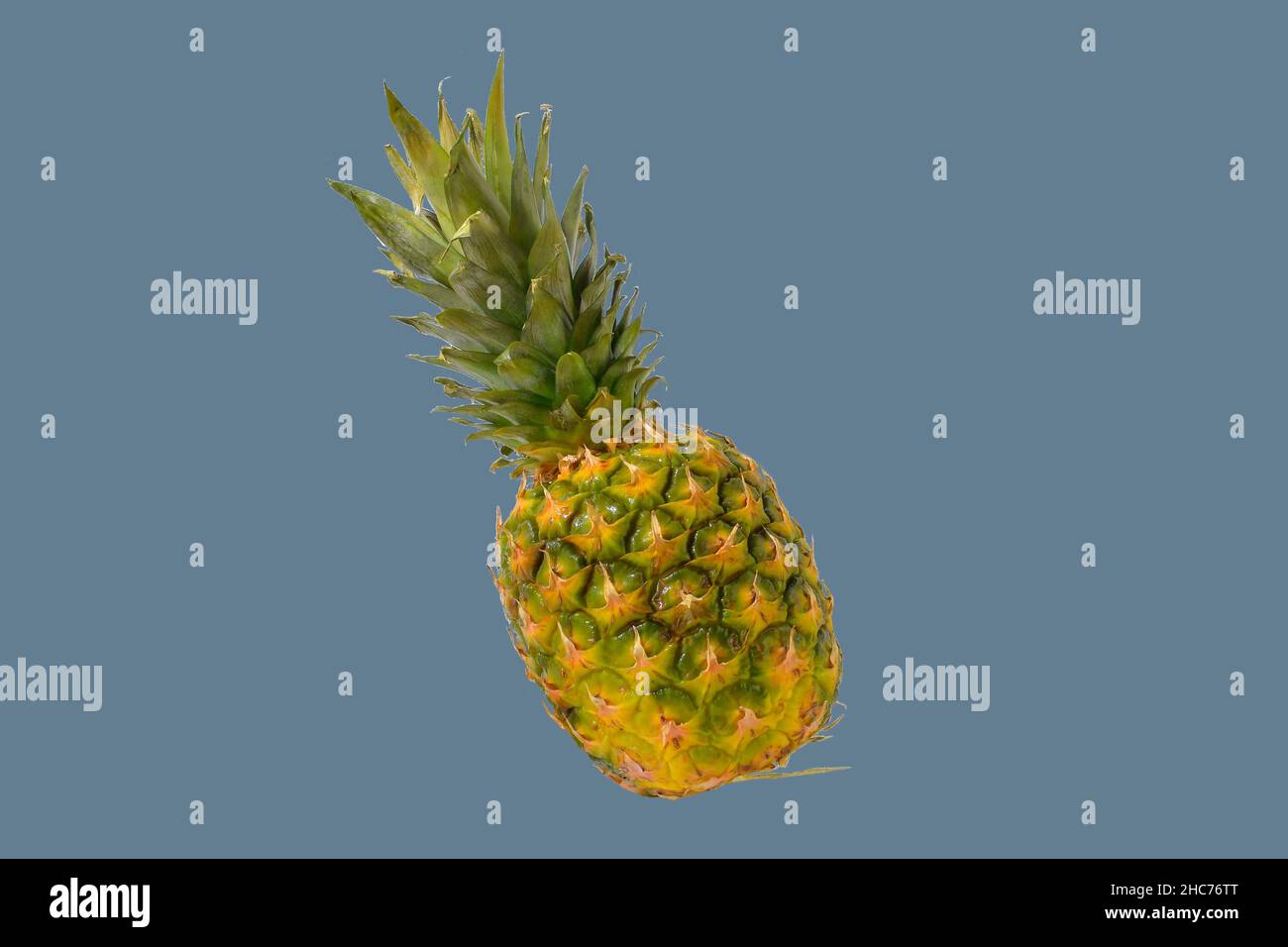 Pineapple on a color background. Clipping path. Golden ripe pineapple ...