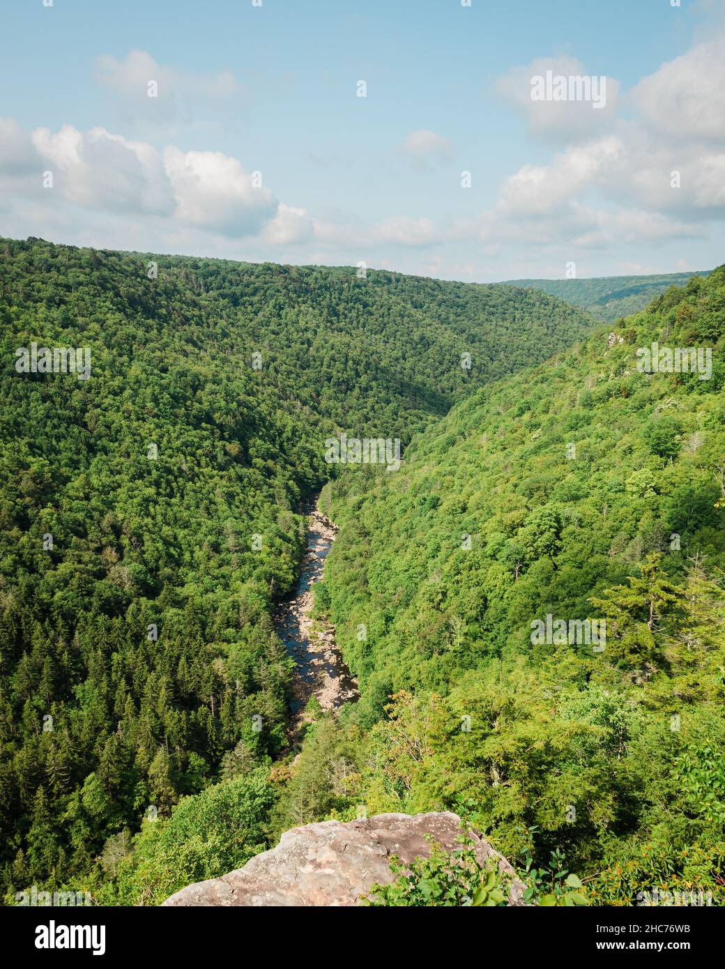 View from Pendleton Point, at Blackwater Falls State Park in Davis ...