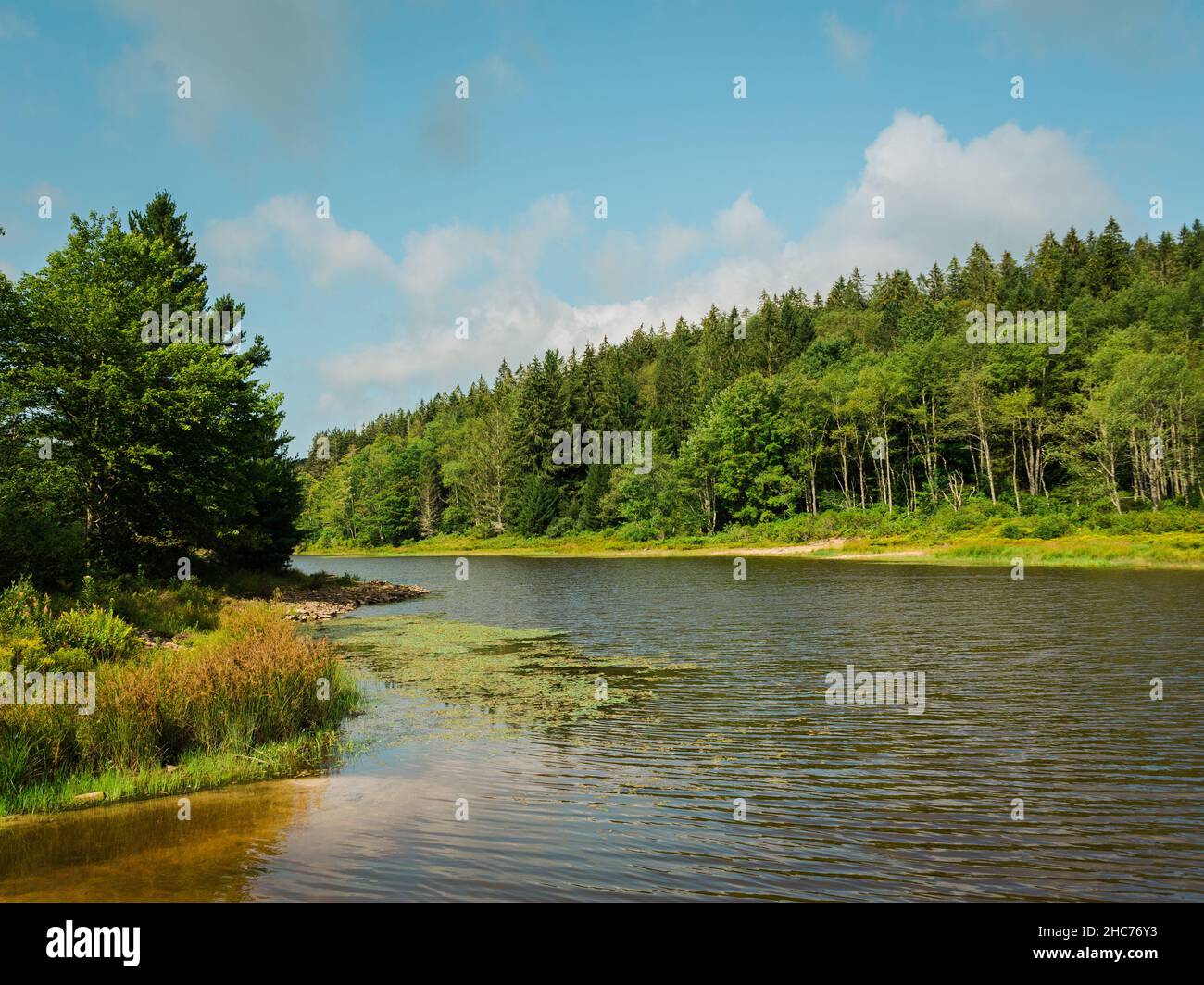 Pendleton Lake, at Blackwater Falls State Park in Davis, West Virginia ...