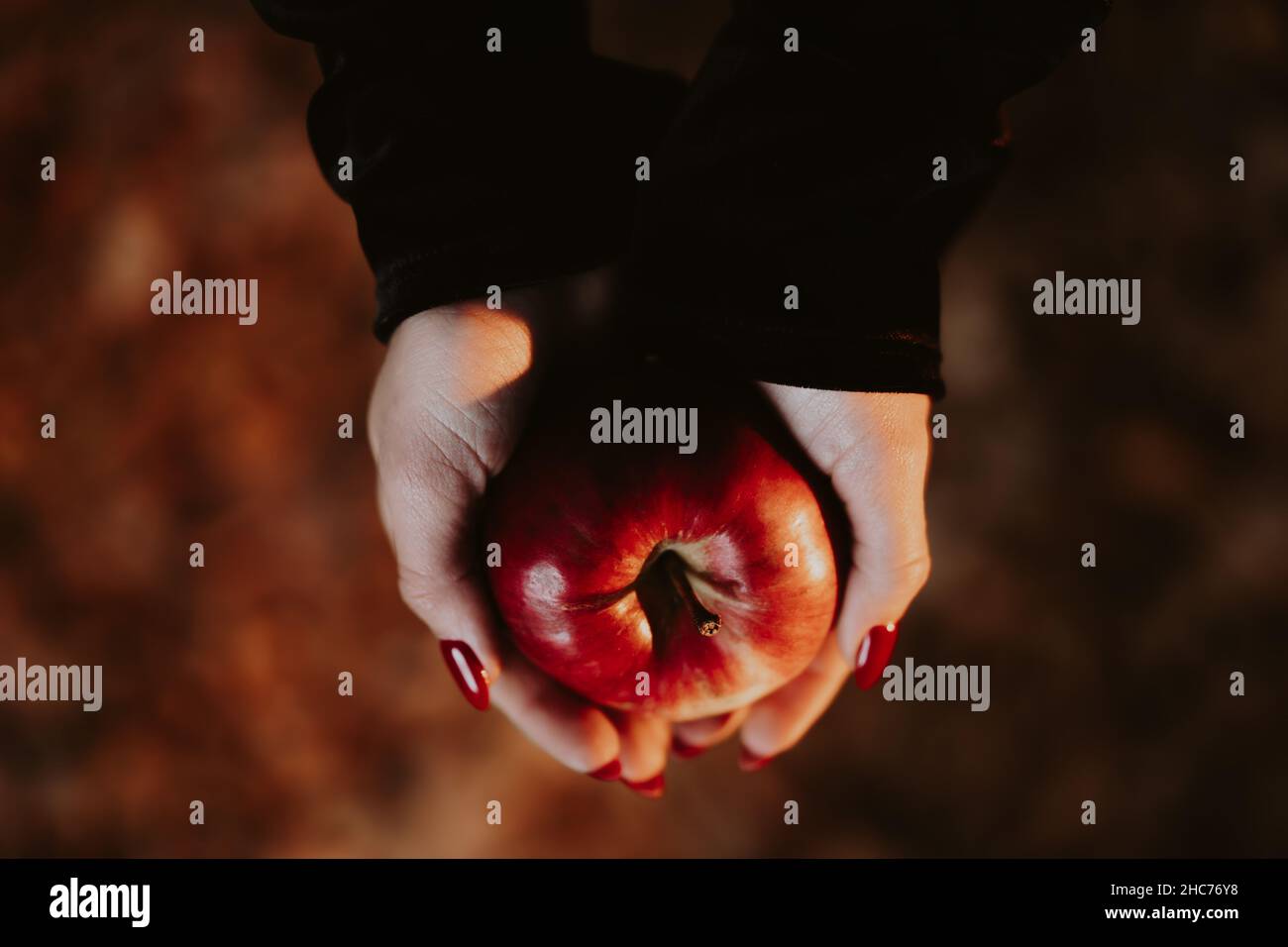 Witch woman in black offers red apple as symbol of temptation, poison ...