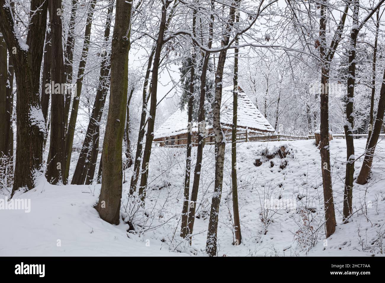 Lviv, Ukraine - December 8, 2021: Ancient village house in Klymentii ...