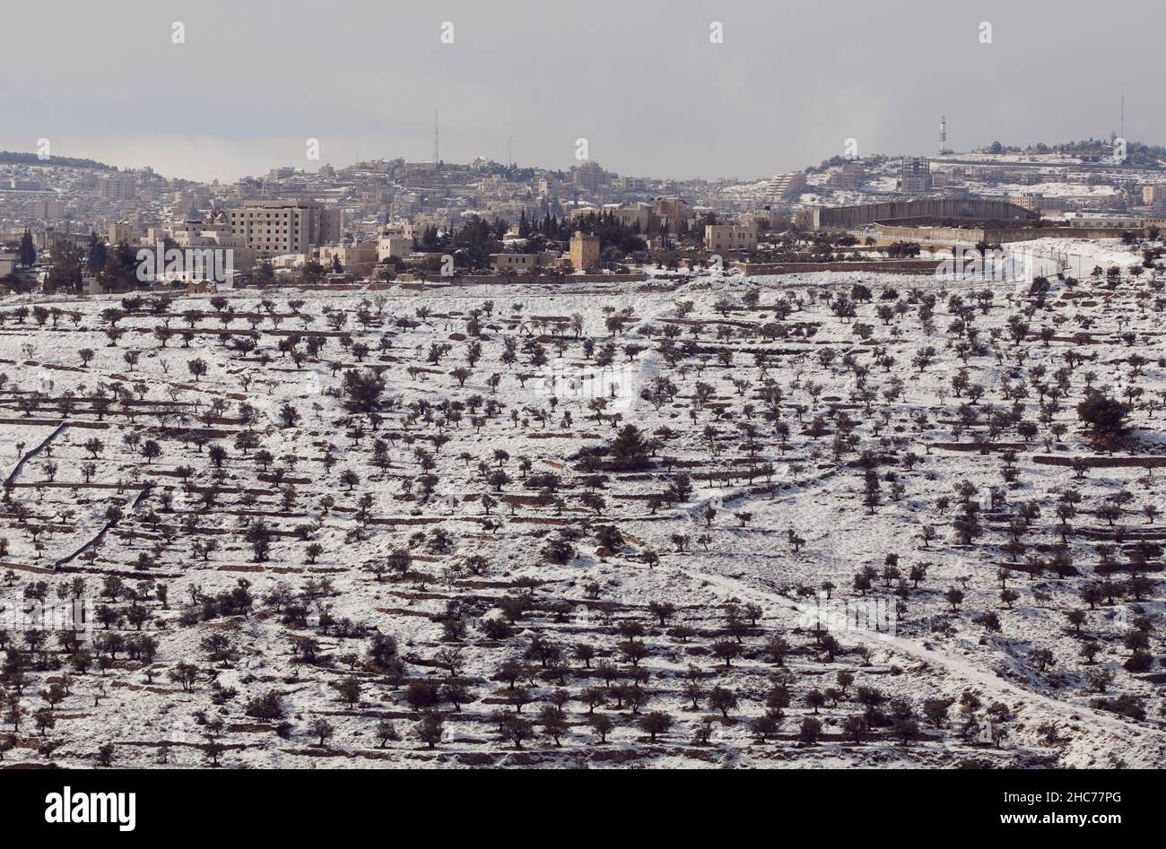 Snow in Jerusalem and the surrounding mountains Stock Photo - Alamy