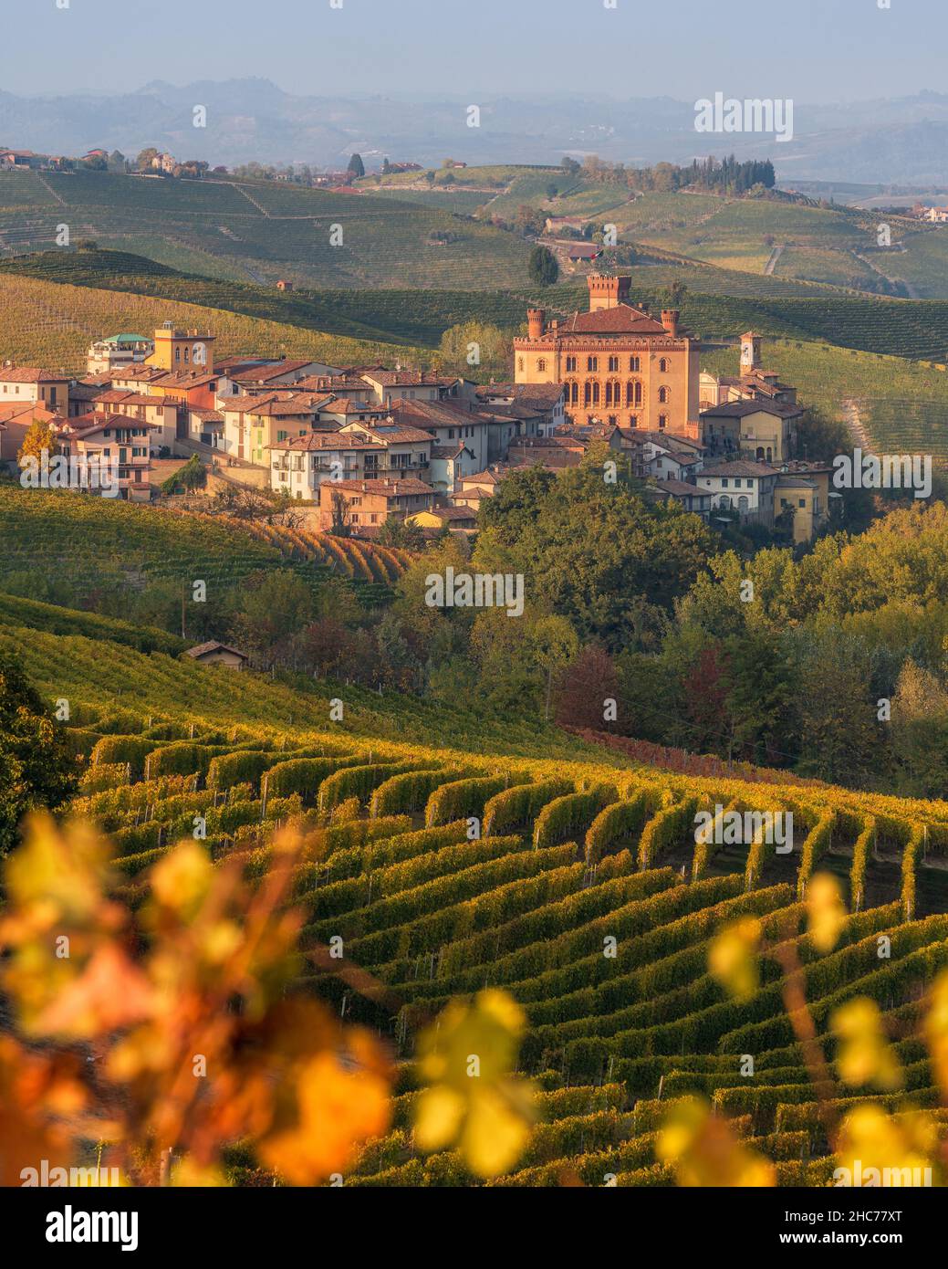 Beautiful hills and vineyards during fall season surrounding Barolo ...