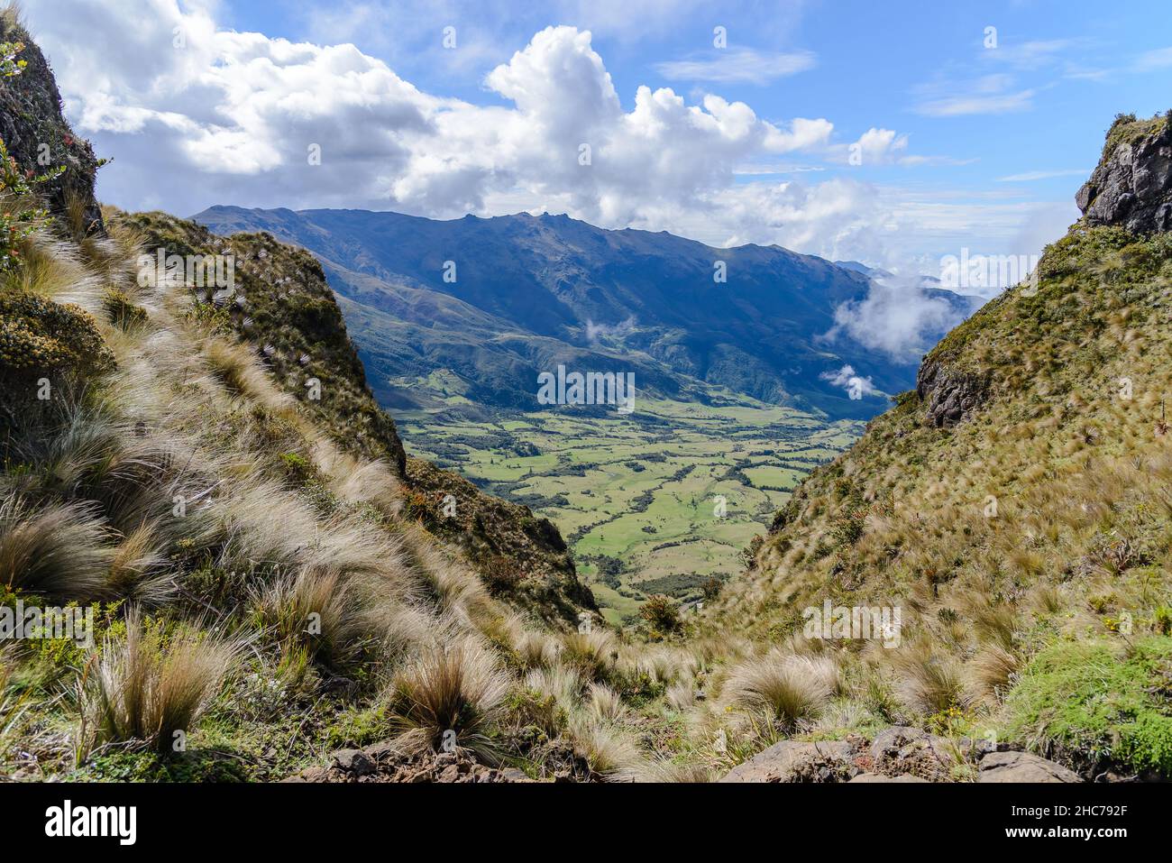 Paramo landscape of high Andes Mountains. Zaruma, Ecuador, South ...