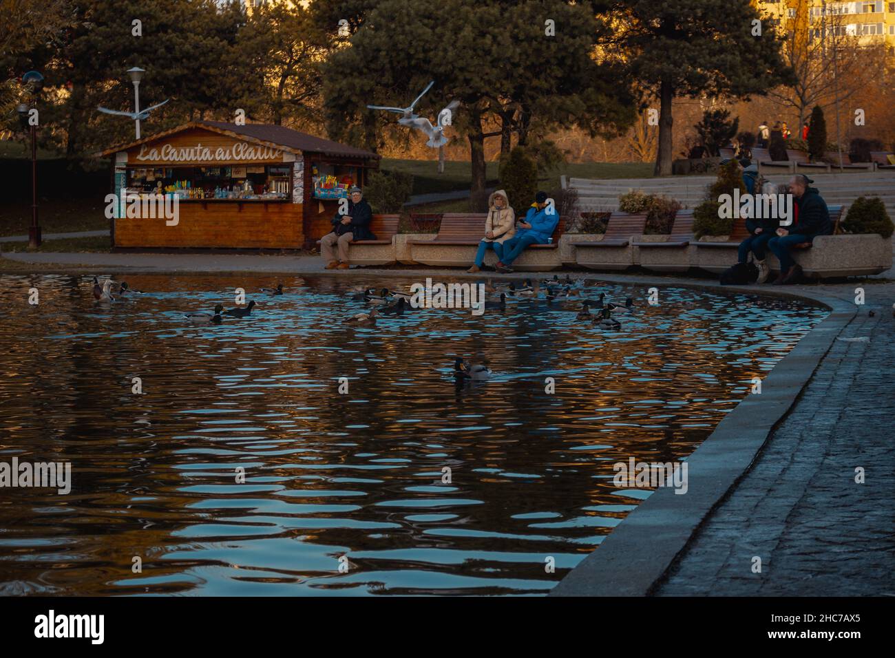 Ior hi-res stock photography and images - Alamy