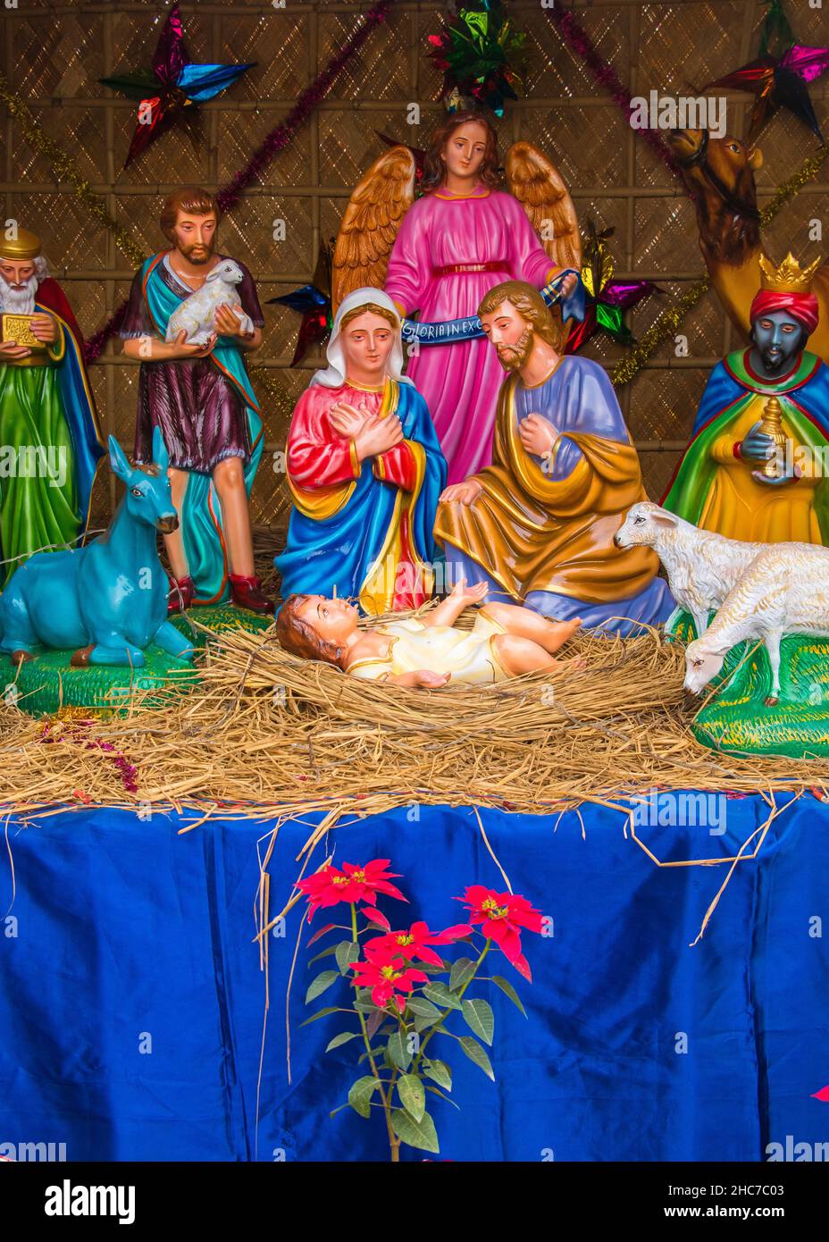 Unique images of merry Christmas 2021, I captured this image on ...
