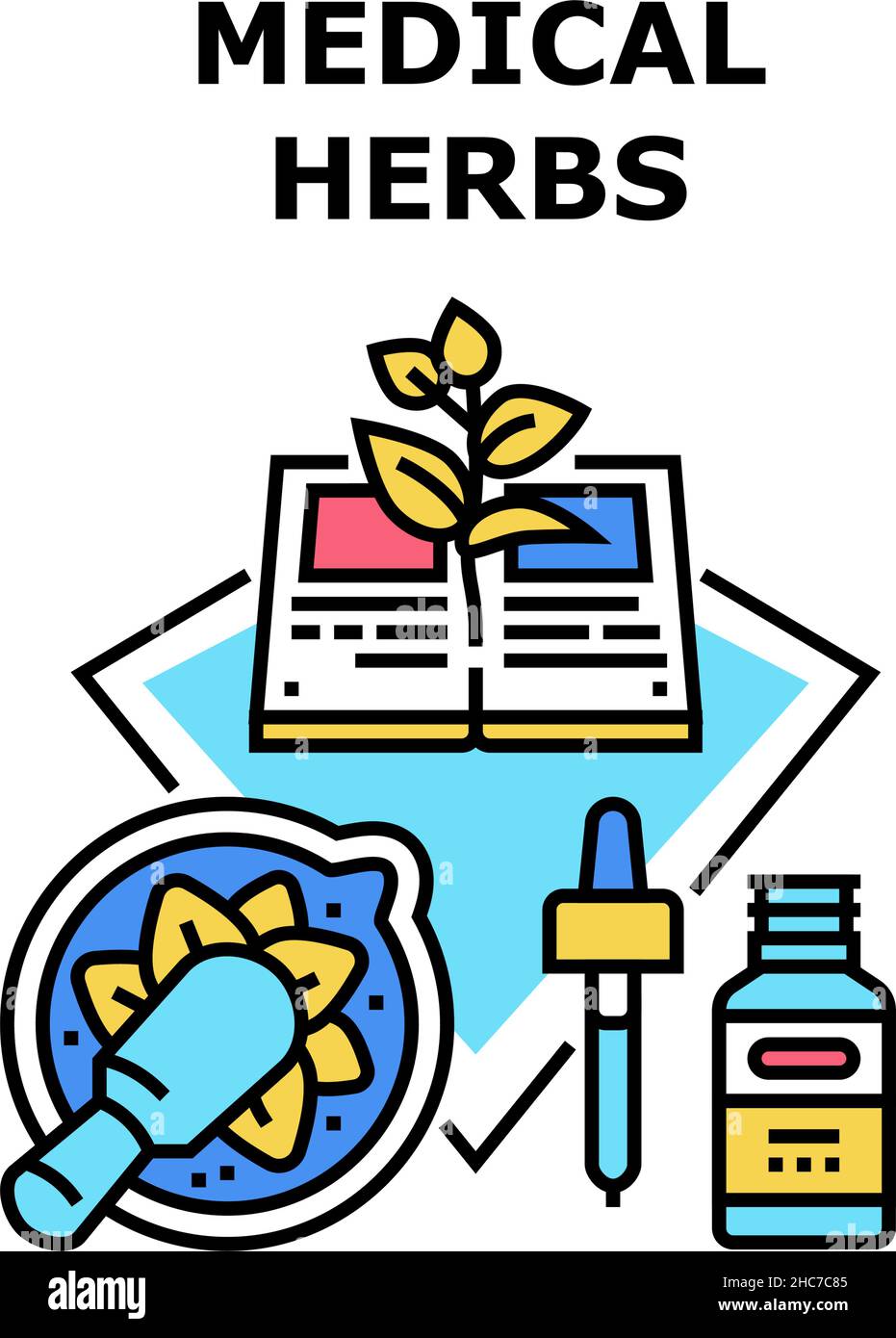 Medical Herbs Vector Concept Color Illustration Stock Vector Image ...