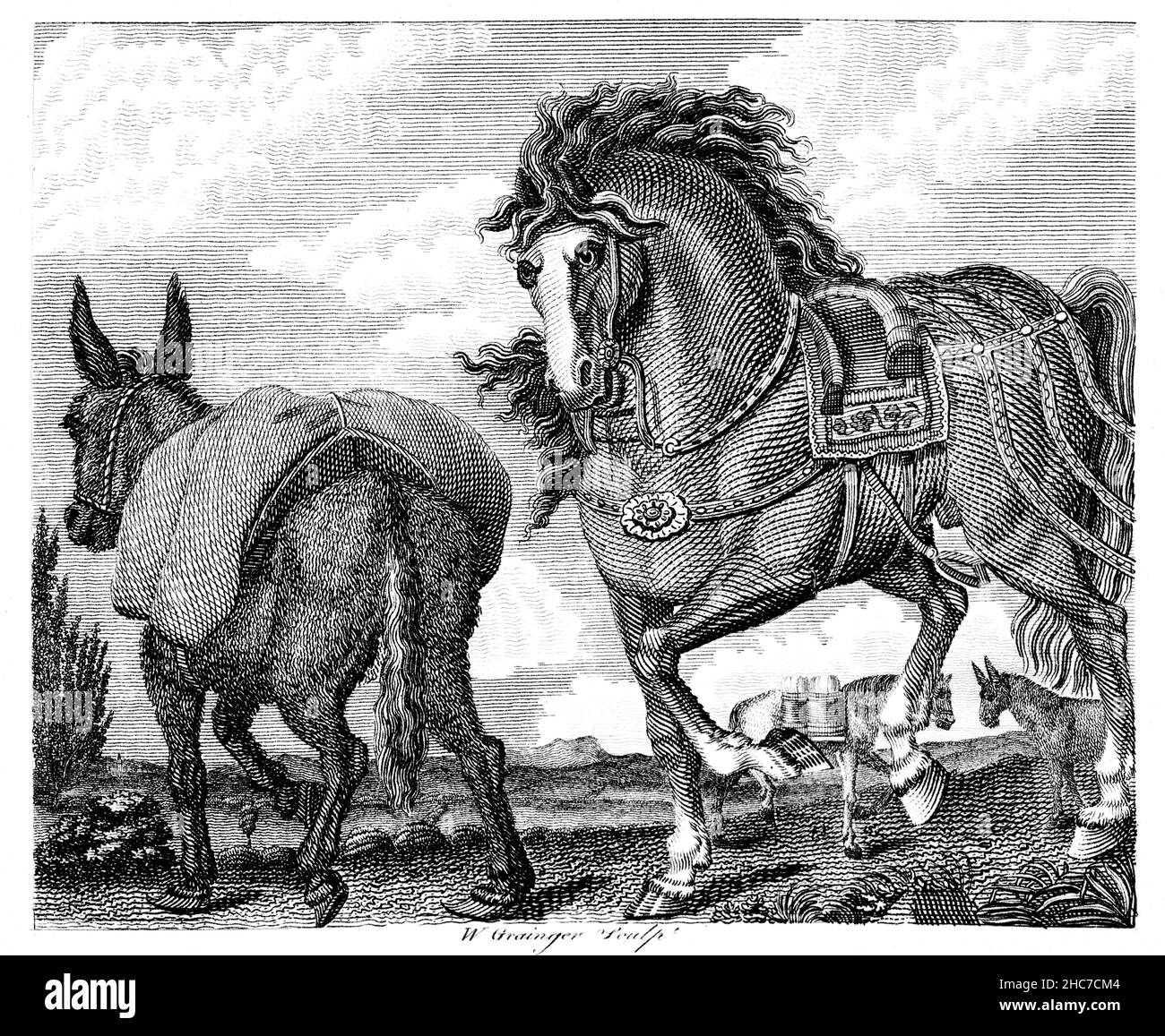 engraved illustration of The Horse and the Ass, a tale of the ...