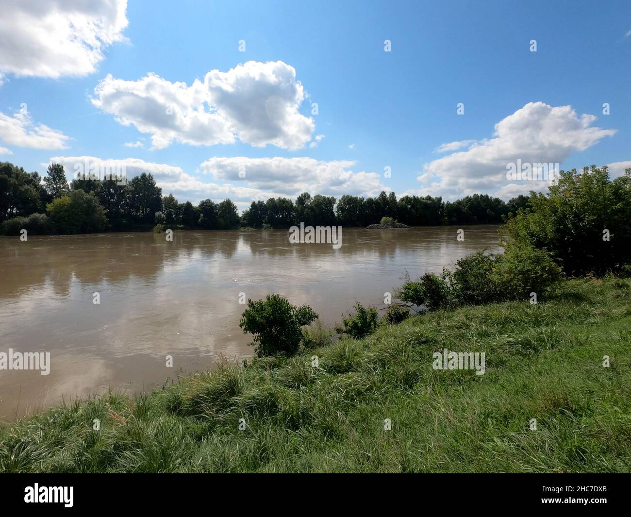 Landscape of the river, the forest and the fluffy clouds reflecting ...