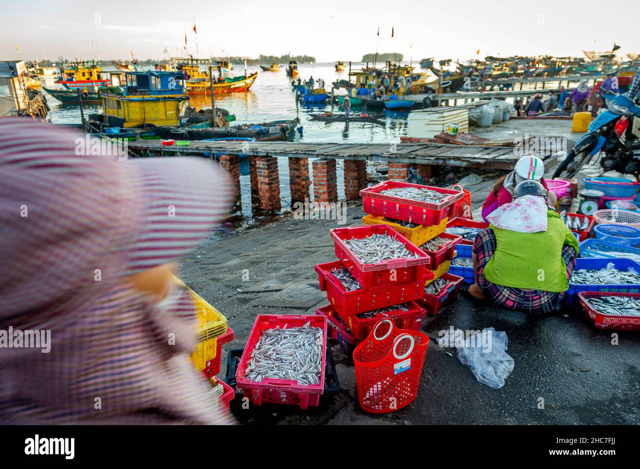 People collecting fish in buckets for fish market Stock Photo - Alamy