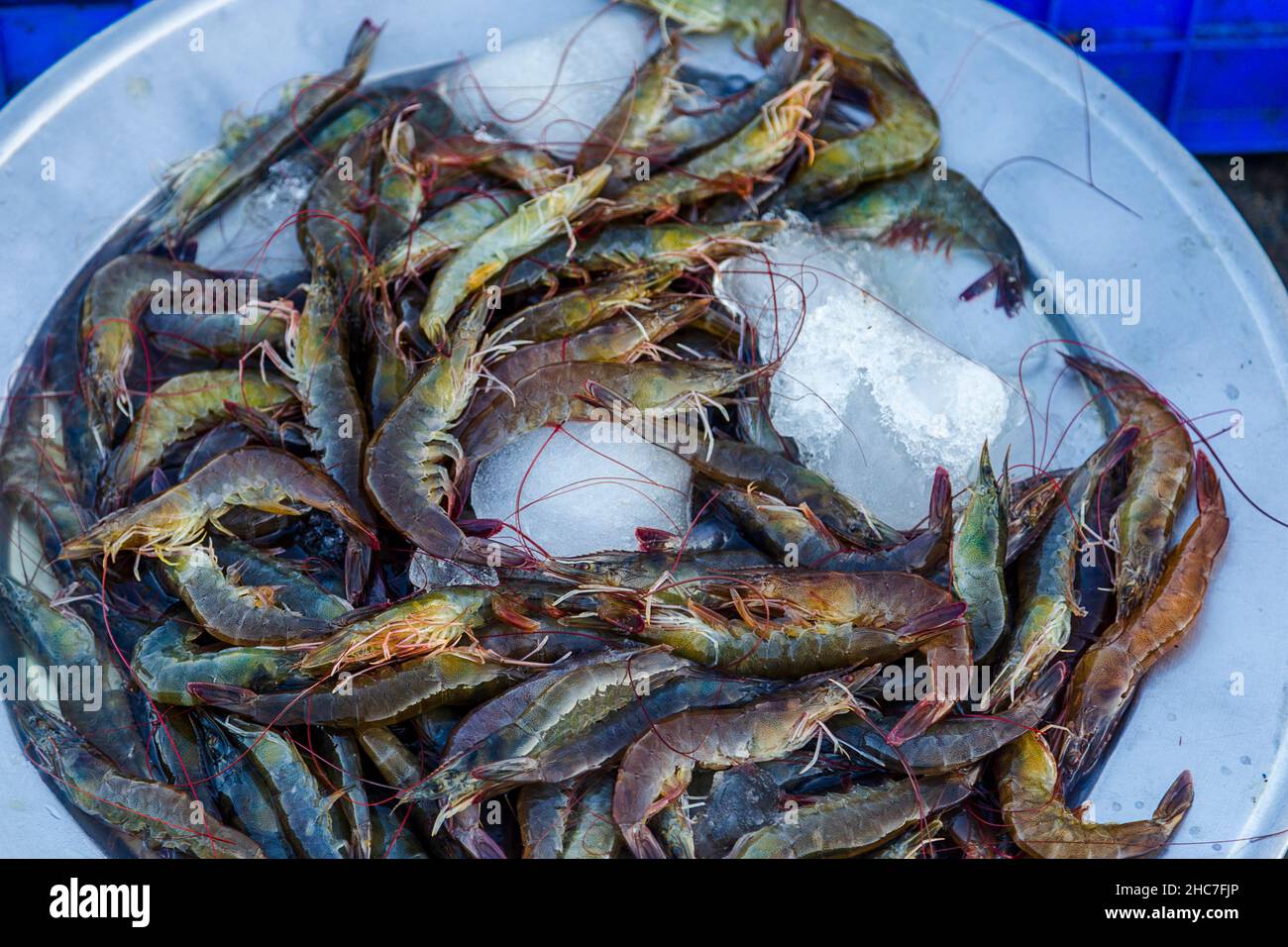 Shrimp docks hi-res stock photography and images - Alamy