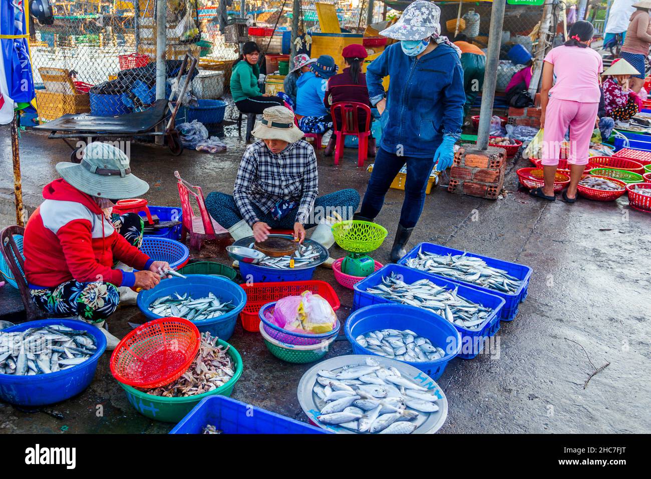 Fish market at Day Hai fishing village with women and fish in buckets ...
