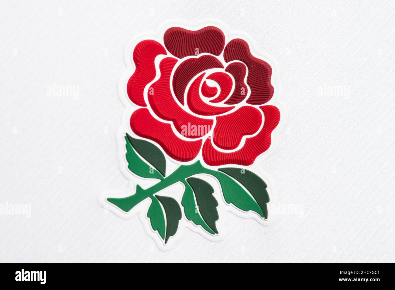 England rugby team hi-res stock photography and images - Alamy