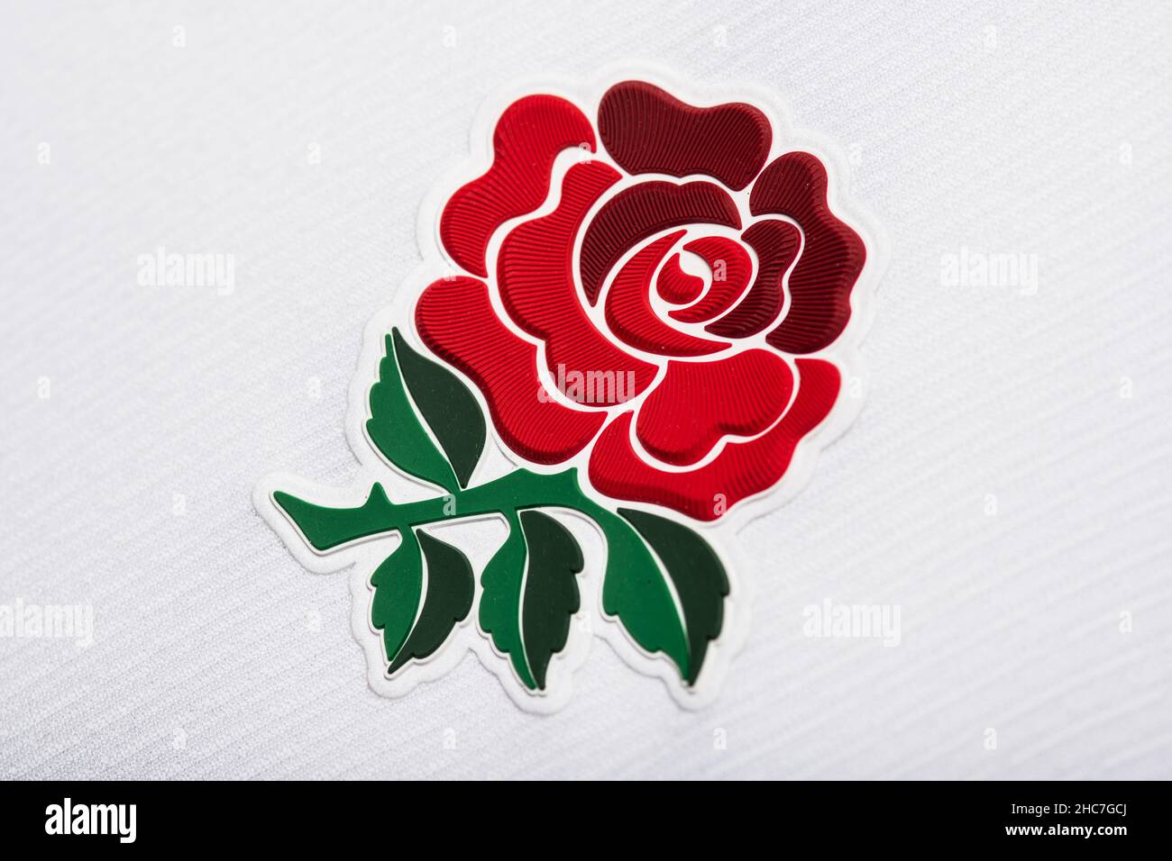England rugby team hi-res stock photography and images - Alamy
