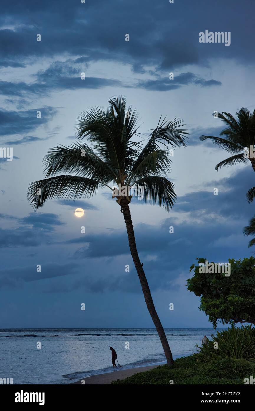 Vertical scene of full moon setting with beach and palm tree Stock ...