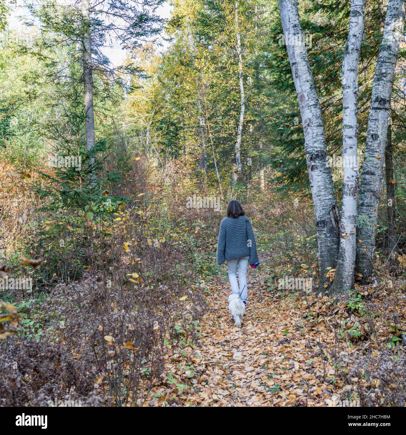 Vertical back view of an woman and a white terrier at a hiking trail in ...