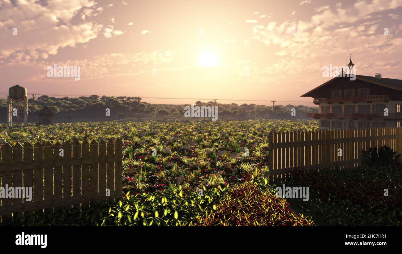 Field house hi-res stock photography and images - Alamy