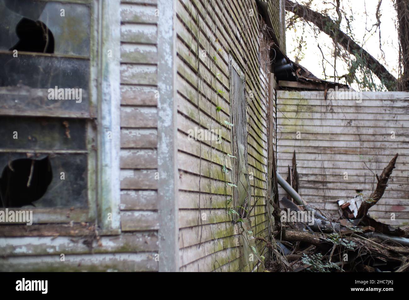 Old creepy scary wooden overgrown abandoned mansion in rural Georgia ...