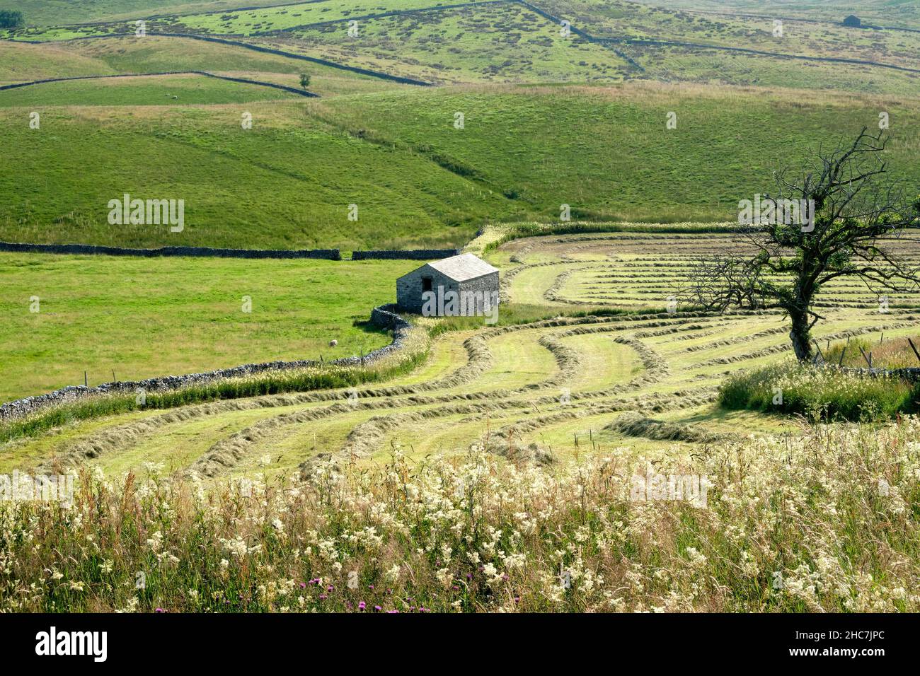 Ribblehead, Yorkshire, England, Britain, jul 18th 2021.Dales Landscape ...