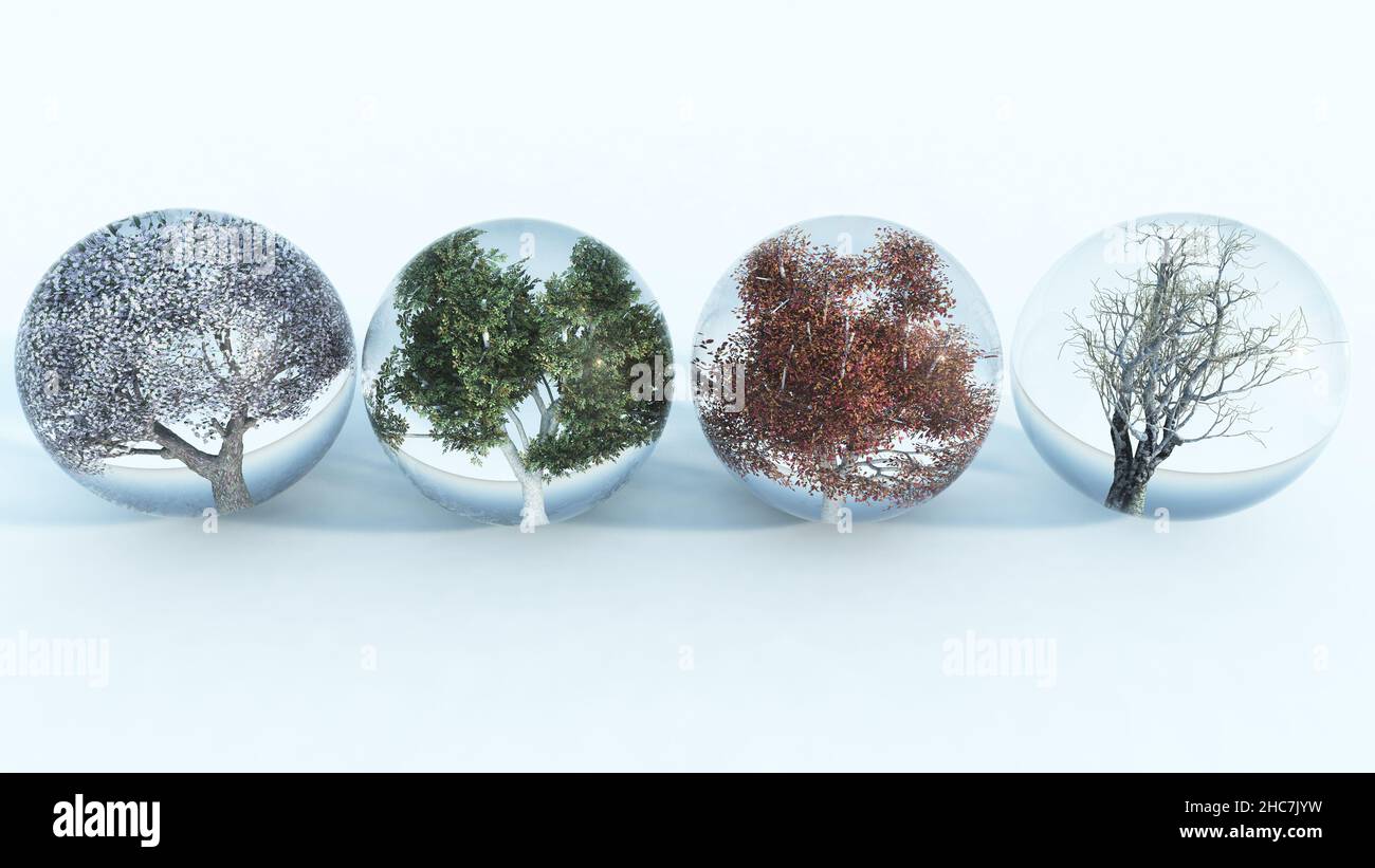 3D rendering of four seasons and trees isolated on a white background ...