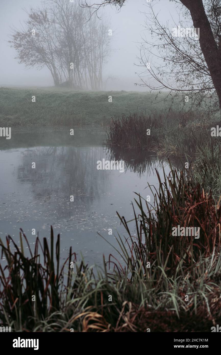 Eerie landscape hi-res stock photography and images - Alamy