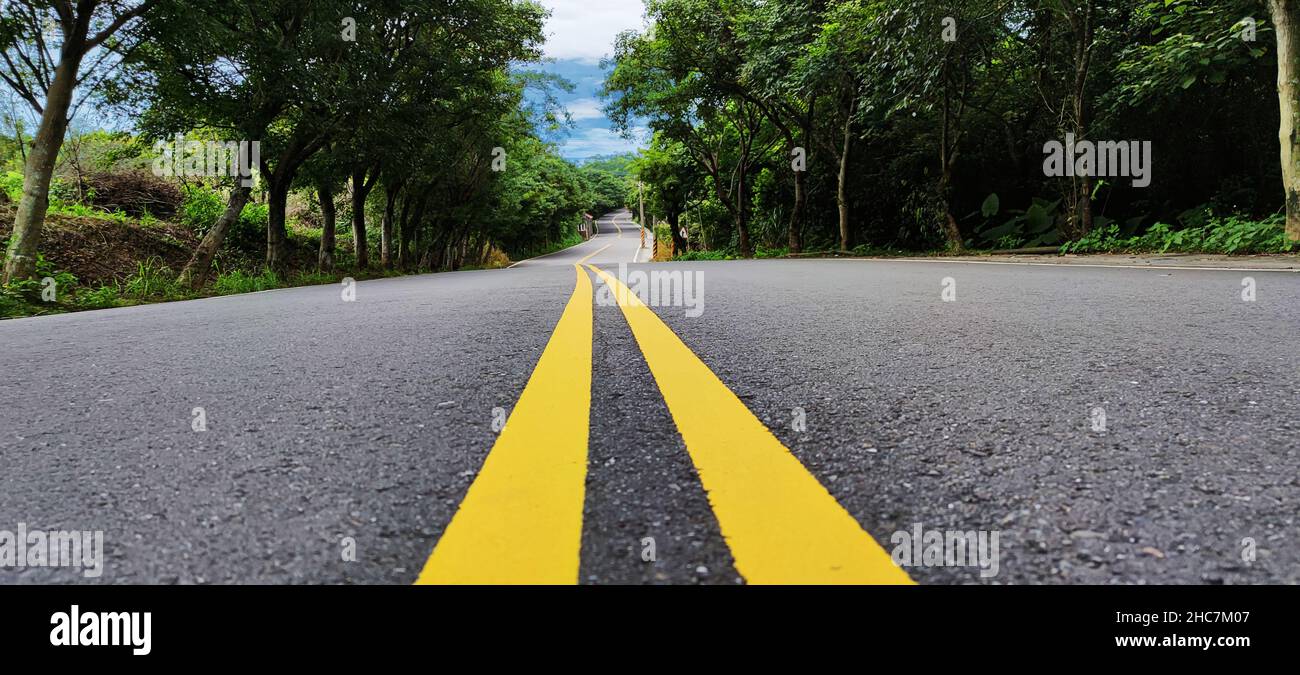 The road with trees on both sides vanishing around a bend Stock Photo ...