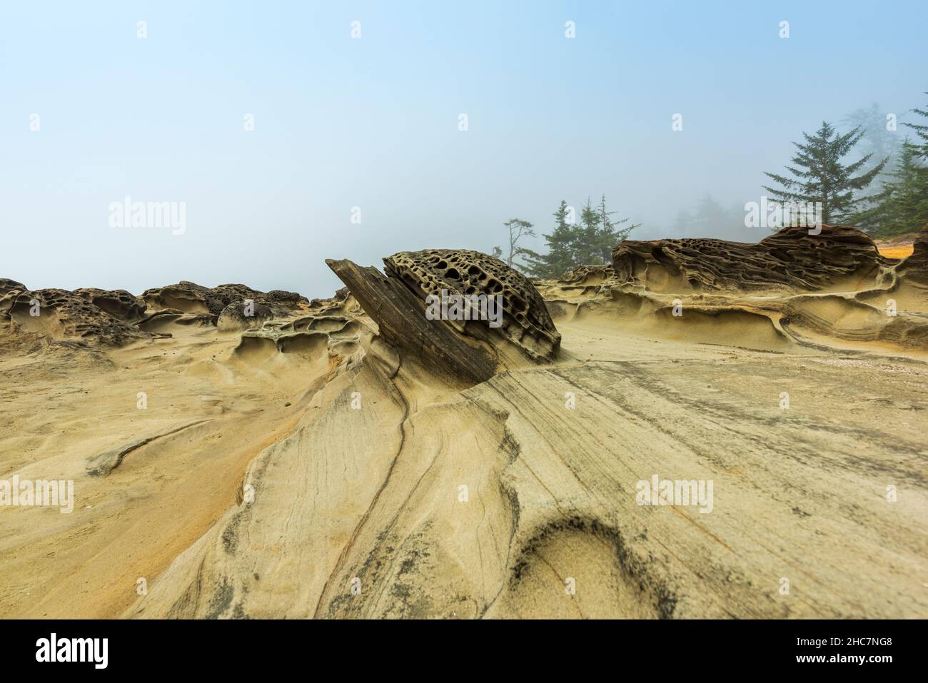 Whimsical sandstone formations at Pacific Coast, Shore Acres State Park ...