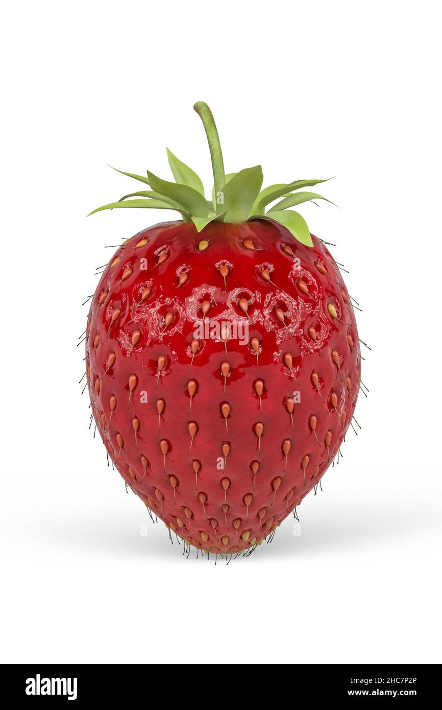 Strawberry isolated on white background - 3d render Stock Photo - Alamy