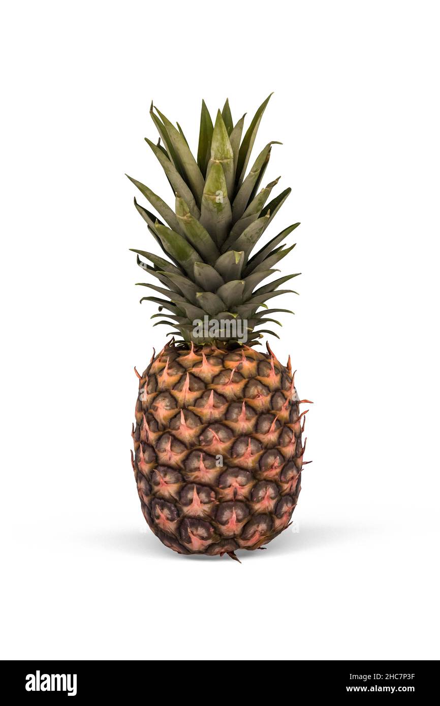 Pineapple isolated on white background - 3d render Stock Photo - Alamy