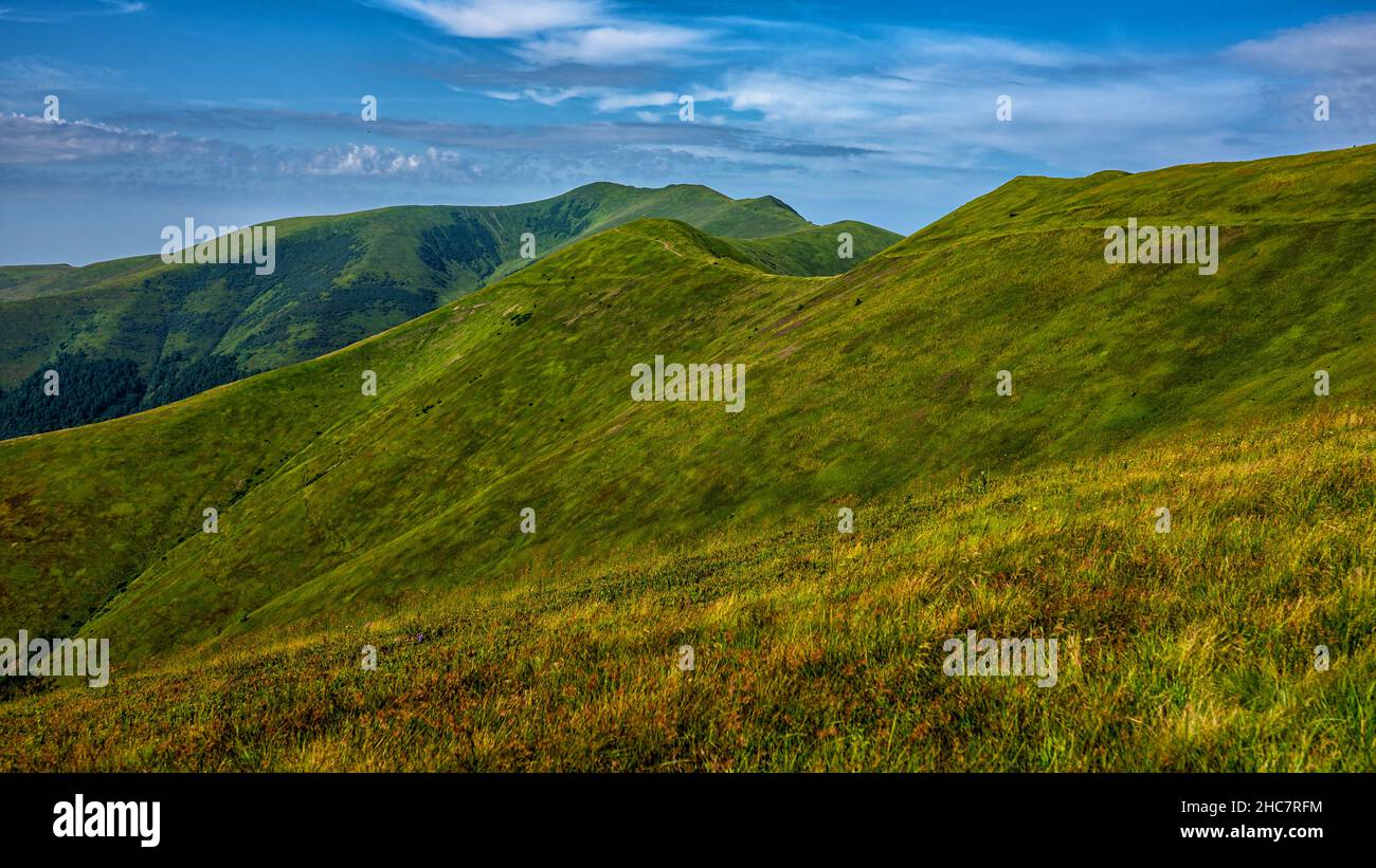 Carpathian mountains ukraine summer hi-res stock photography and images ...