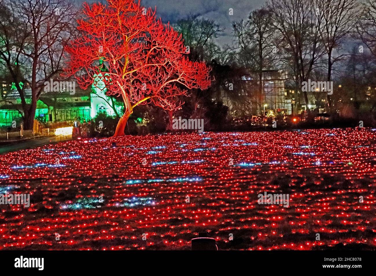 Chrismas Garden in Cologne Stock Photo - Alamy