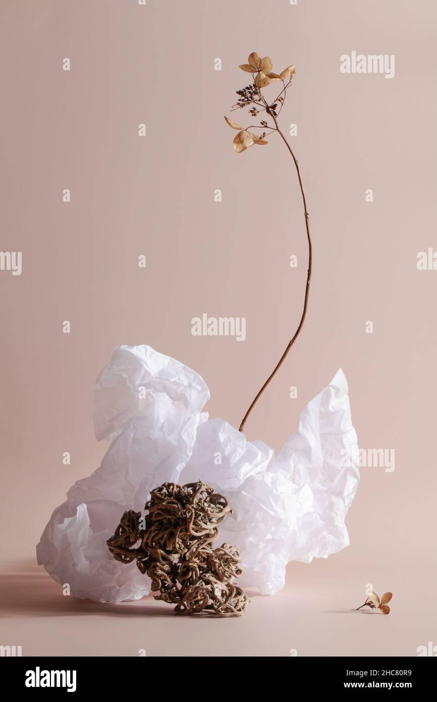dry flower in crumpled paper on beige background. natural background ...