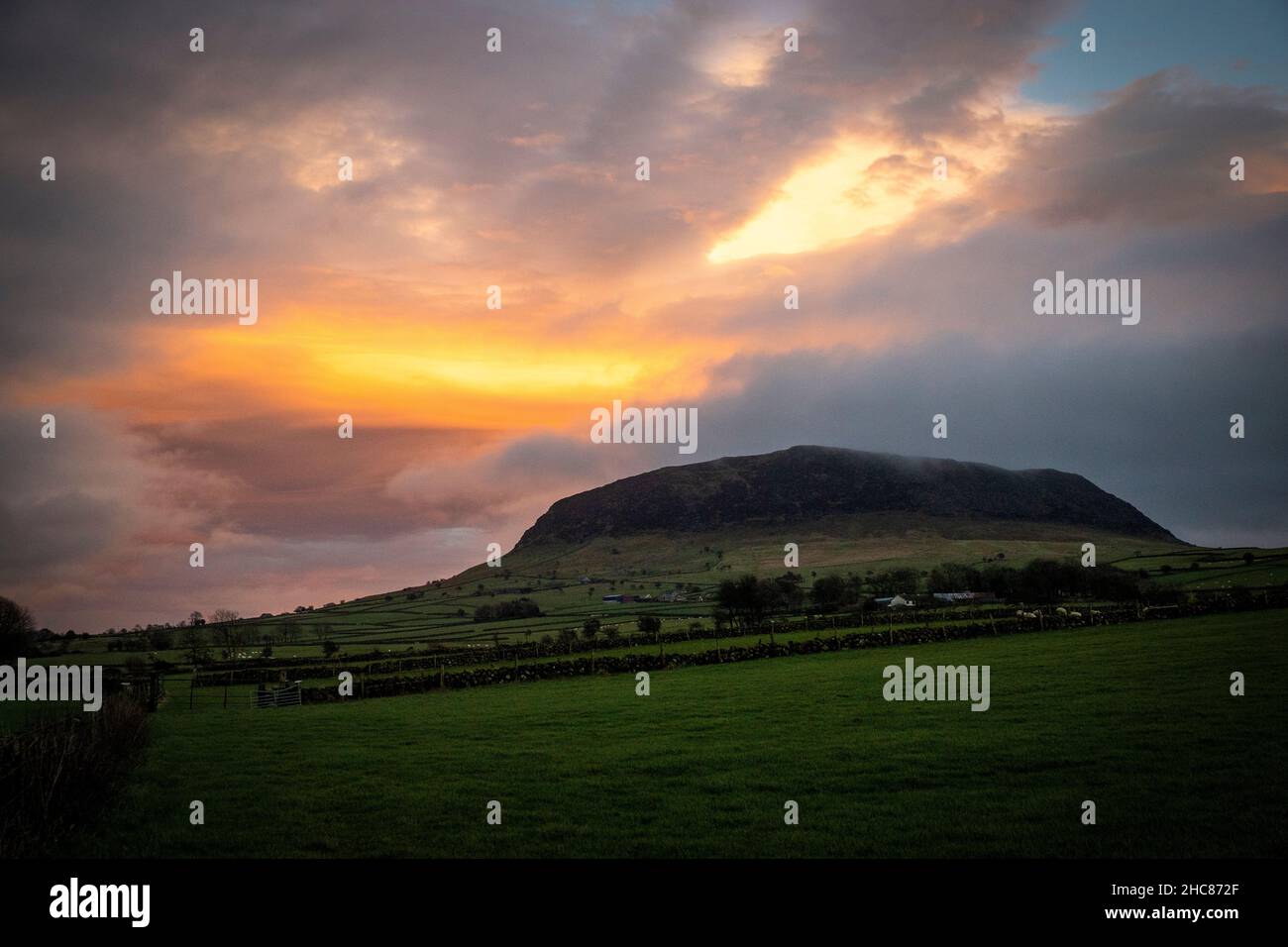 Slemish mountain county antrim hi-res stock photography and images - Alamy
