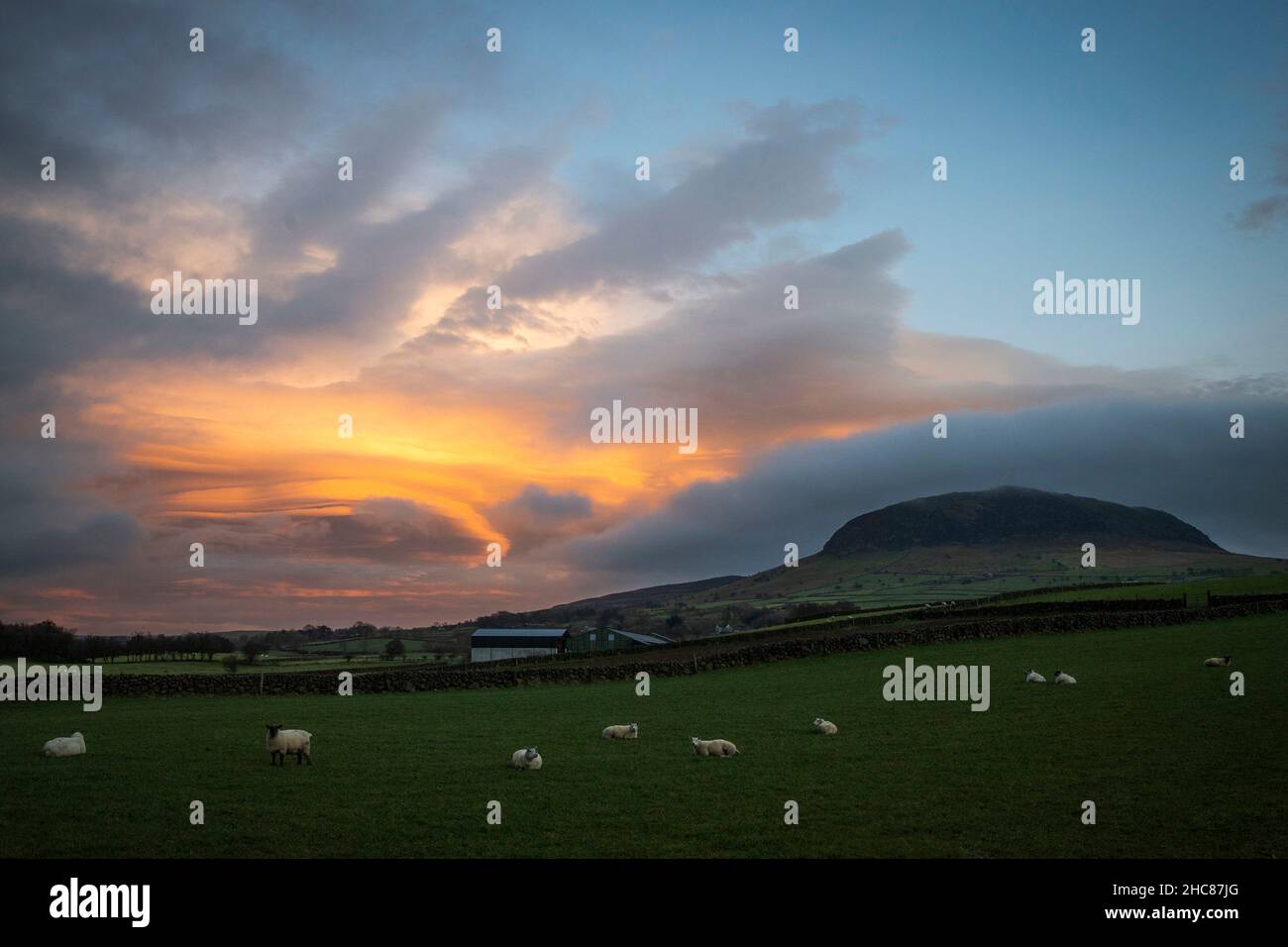 Slemish mountain county antrim hi-res stock photography and images - Alamy