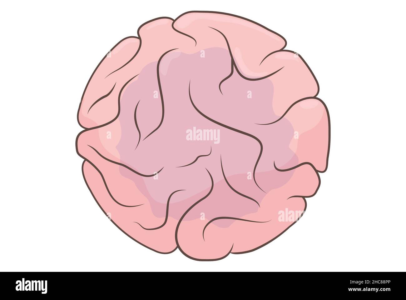 Simple, unlabelled illustration of the cell Stock Photo - Alamy