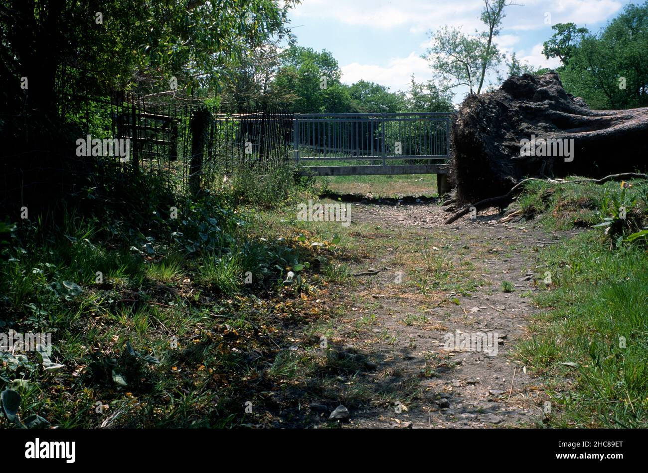 River bed of River Misbourne near Chalfont St Peter. The river has lost ...