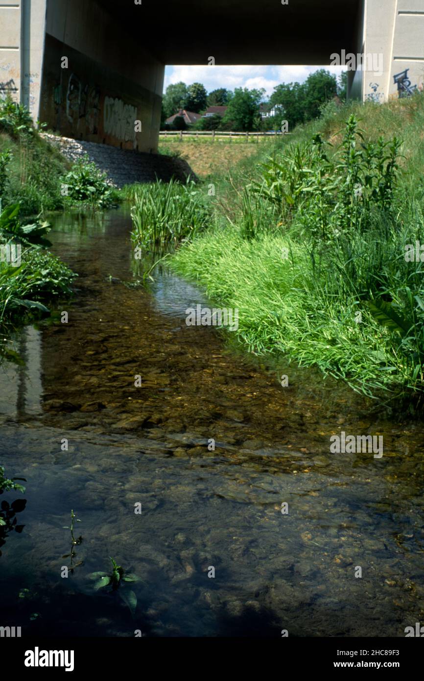 River bed of River Misbourne, Buckinghamshire. The river has lost most ...