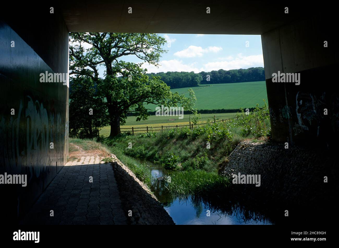 River bed of River Misbourne, Buckinghamshire. The river has lost most ...